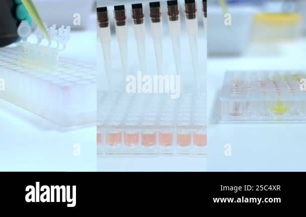 Collage of bioanalysis of DNA using microplate and multichannel Pipette ...
