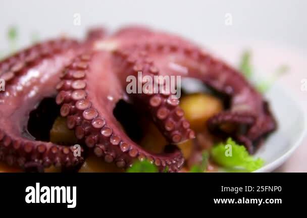 Octopus food seafood octopus tentacles fresh tasty food dish ...