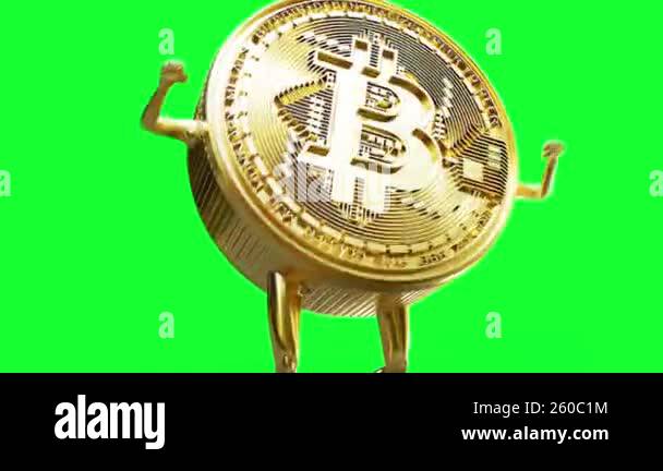 Bitcoin character. Dance funny animation. Realistic 4k green screen ...