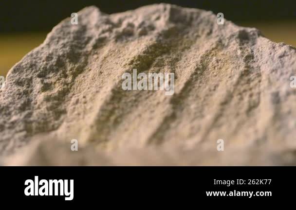 Fossil, Ammonite close up panning shot, macro. Rock with imprints of ...
