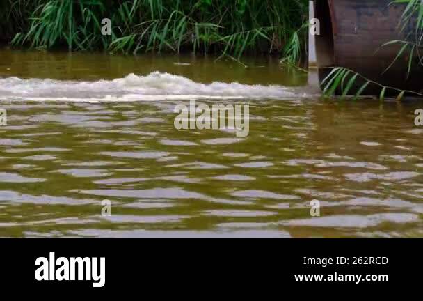 Factory liquid waste is drained from pipe into river forming dirty foam ...