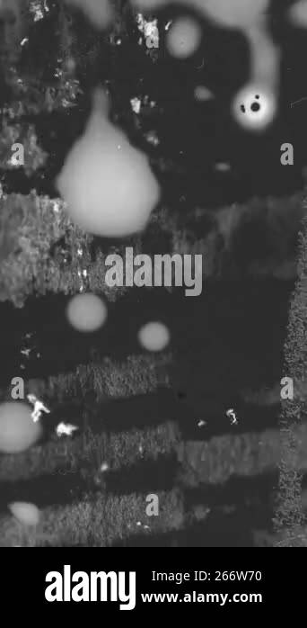 Vertical Retro vintage screen Negative Film noise grain texture ...
