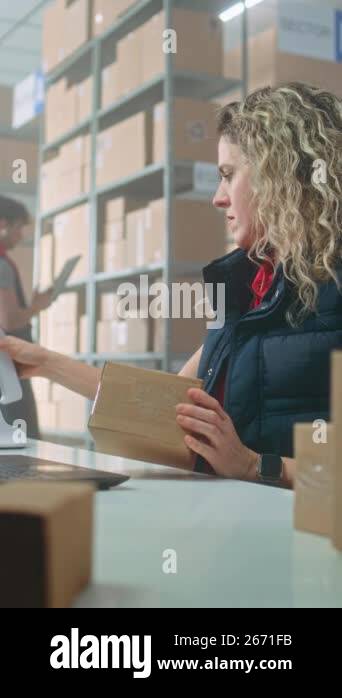 Female logistics specialist scans parcel with scanner, checks data ...