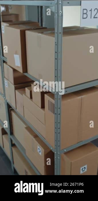 Postal Sorting Center, Online Store Retail Warehouse with E-Commerce ...