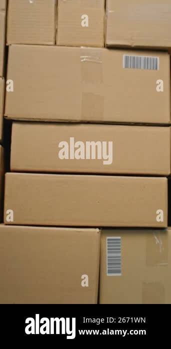Portrait of Crazy Female Warehouse Worker Pushing Cardboard Boxes ...