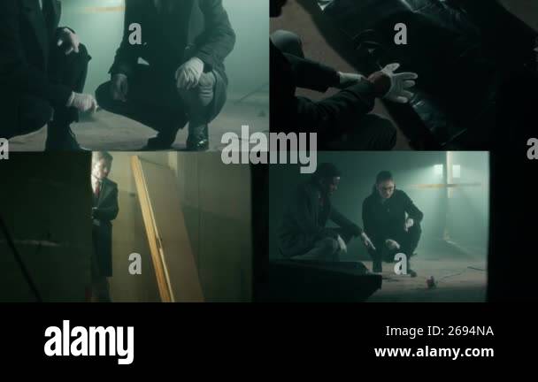 Split screen of young skilled Caucasian female detective and young ...