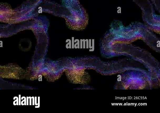 moire distorted lines with vibrant colors flow and noise animation, 4k ...