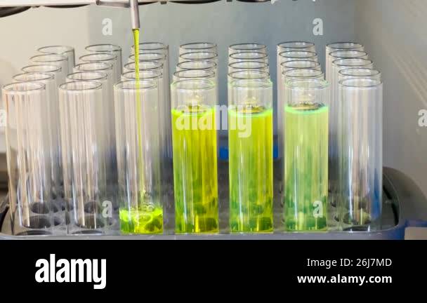 Green fluorescent chemical compound is separated in liquid ...