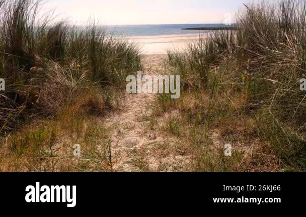 Shot of a perfect sandy path accessing a beautiful white sandy beach ...