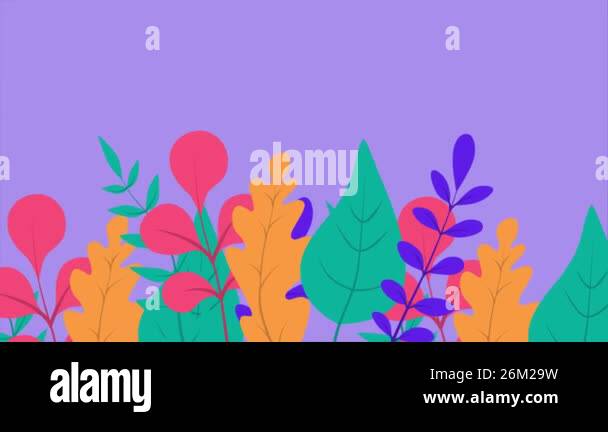 Colored leaves and branches. Minimal modern seamless motion design ...