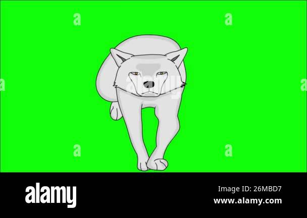 2d Animation Of Strong And Majestic White Wolf Running Upright With ...