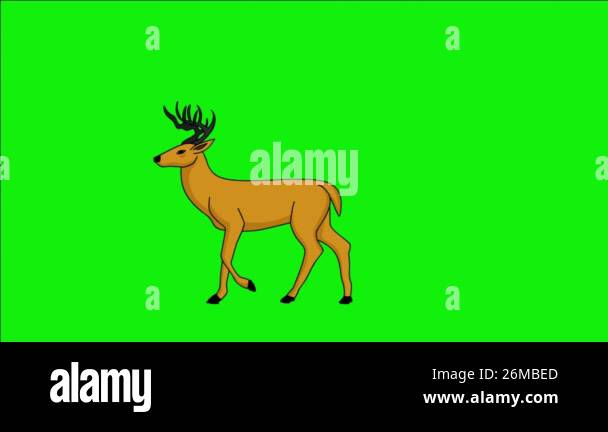 2D Animation of an Orange Deer Walking in Place with Movement (Looping ...