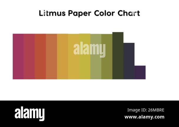 Animated chart showing litmus paper color changes Stock Video Footage ...