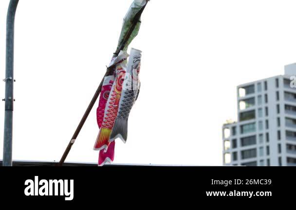 Colorful carp streamers blowing in the wind Stock Video Footage - Alamy
