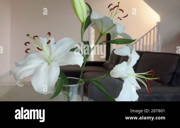 Elegant white lilies in a glass vase placed on a table in a modern ...