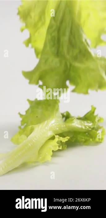 Salad falling and splashing on white surface with isolated white grey ...