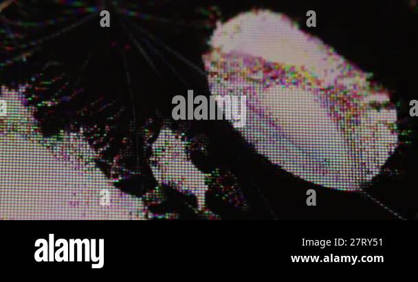 Damaged matrix. Defect display. Wavy spread black liquid on grainy ...