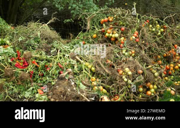 Compost vegetable bio farm autumn rotten tomato pepper lettuce cabbage ...