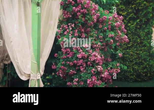 Bad summer weather Heavy rain in summer garden green grass lawn. Spring ...