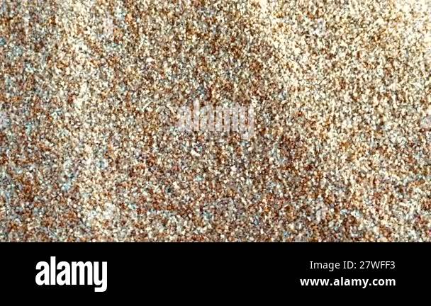 Golden Sand Texture Nature Close-up of attractive golden sand, showing ...