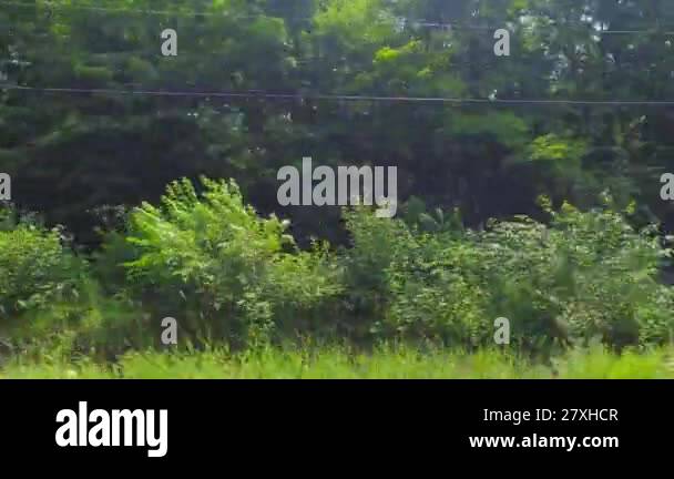 Point of view, left side car view. Driver window side driving view, POV ...