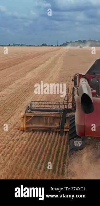 Big agricultural combine harvesting on yellow wheat field. Big mchine ...