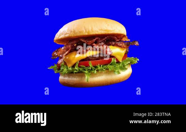 Burger Animation restaurant menu on blue screen, green screen Stock ...