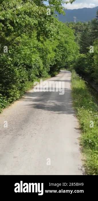 Aerial view asphalt road and green forest, road in countryside leads to village, ecosystem and ...