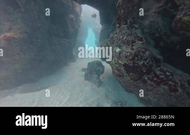 4k video of underwater rock formations in Punta Cana, Dominican ...