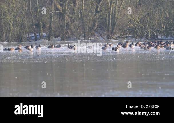 Denaby Ings suffered severe flooding in December 2024. The water ...