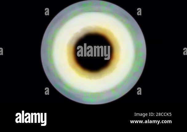 Detailed iris with dynamic psychedelic visuals. Motion graphics video ...