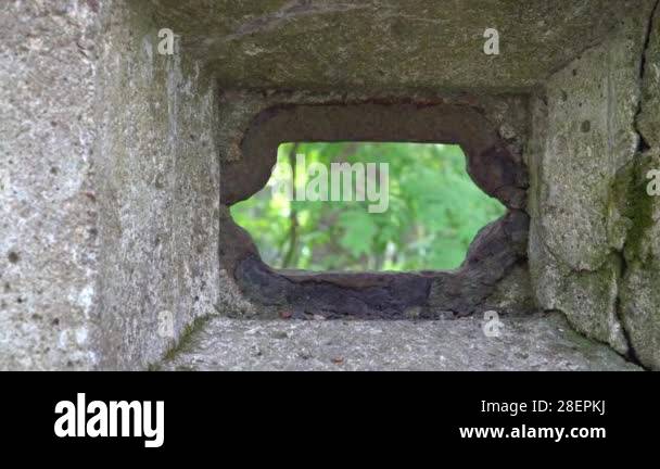 Close-up of a concrete firing port from World War I fortifications. The ...