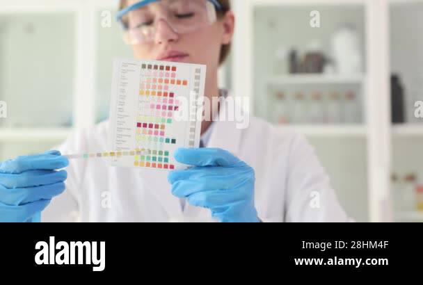 Chemist studies color change of pH test strip to interpret result ...