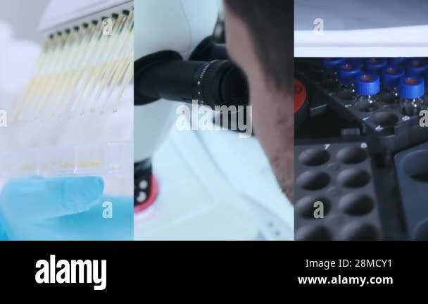 Collage from biological laboratory, analysis of DNA, application of ...
