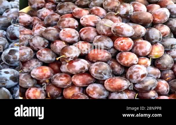 Full ramed Stock Videos & Footage - HD and 4K Video Clips - Alamy