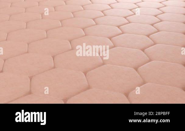 Detailed close-up view of damaged skin cells showing uneven texture and ...