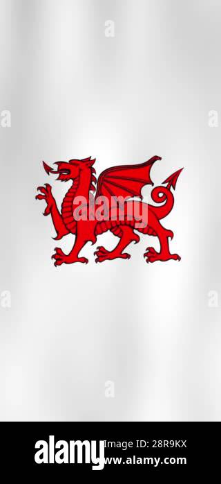 Welsh Red Dragon on Pure White Background Flag Stock Video Footage - Alamy