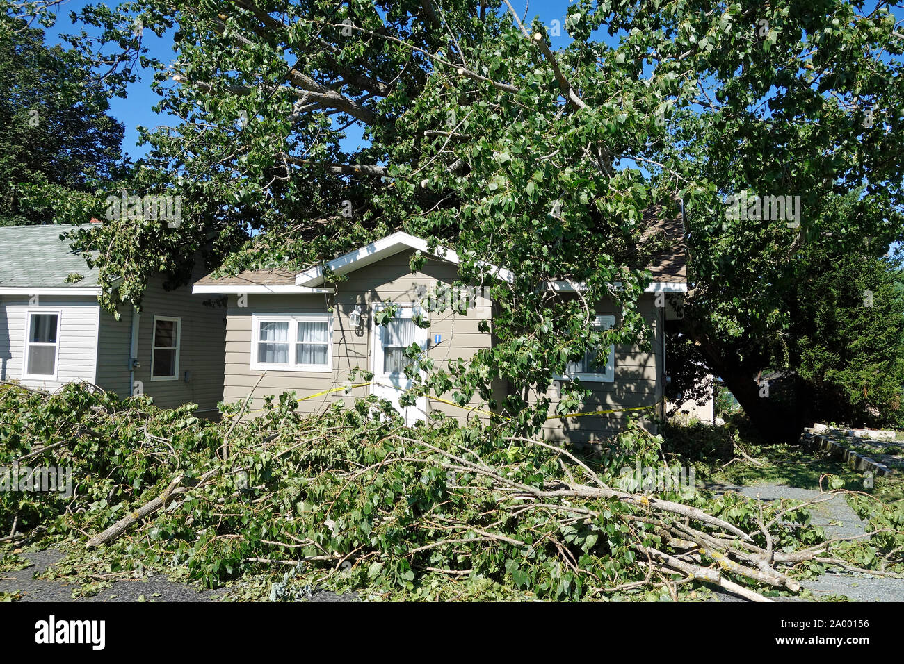 Tree fallen on roof house hi-res stock photography and images - Alamy
