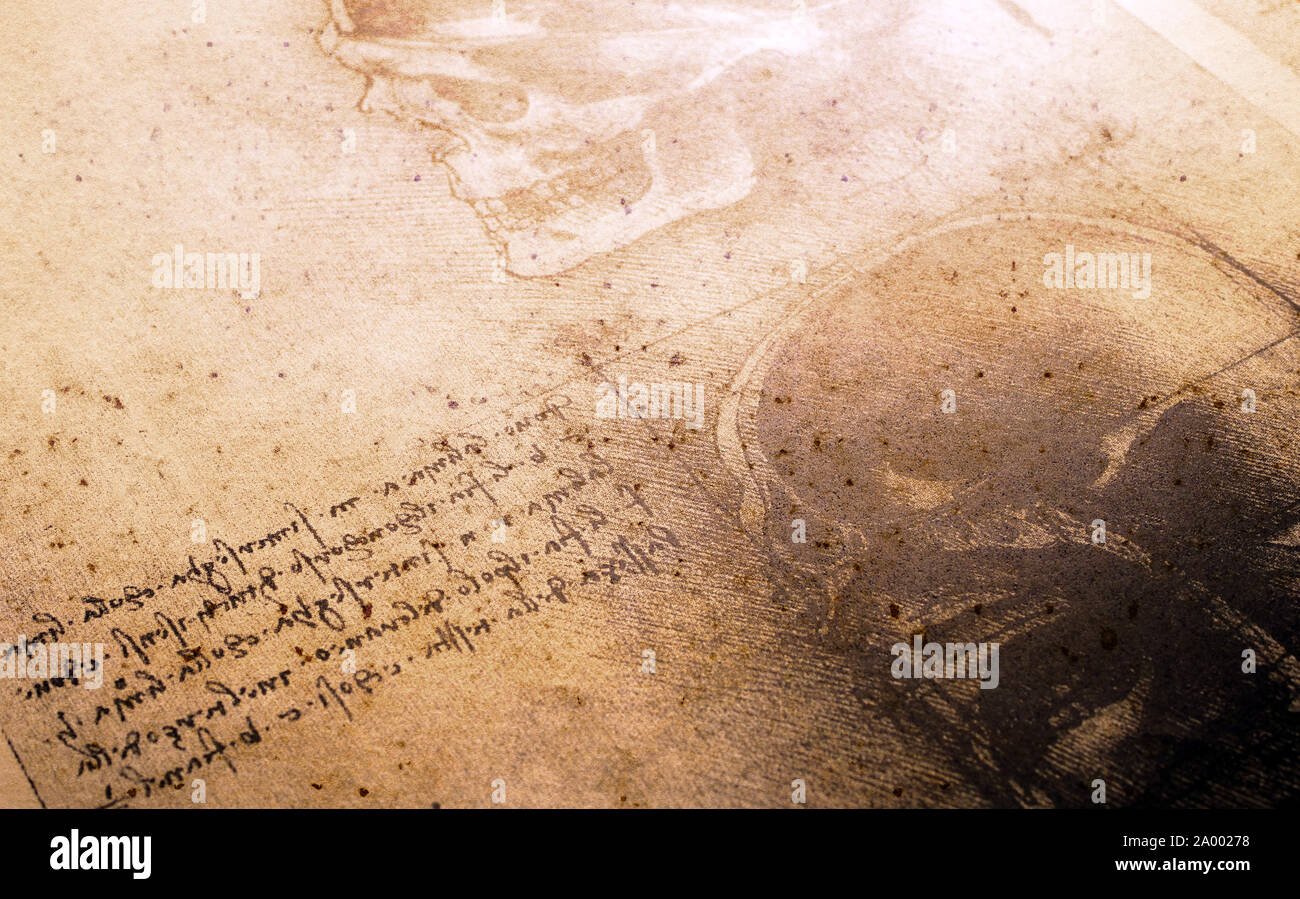 14th century anatomy art by Leonardo Da Vinci Stock Photo - Alamy