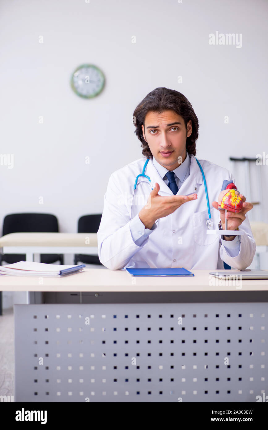 The young doctor cardiologist with heart model Stock Photo - Alamy