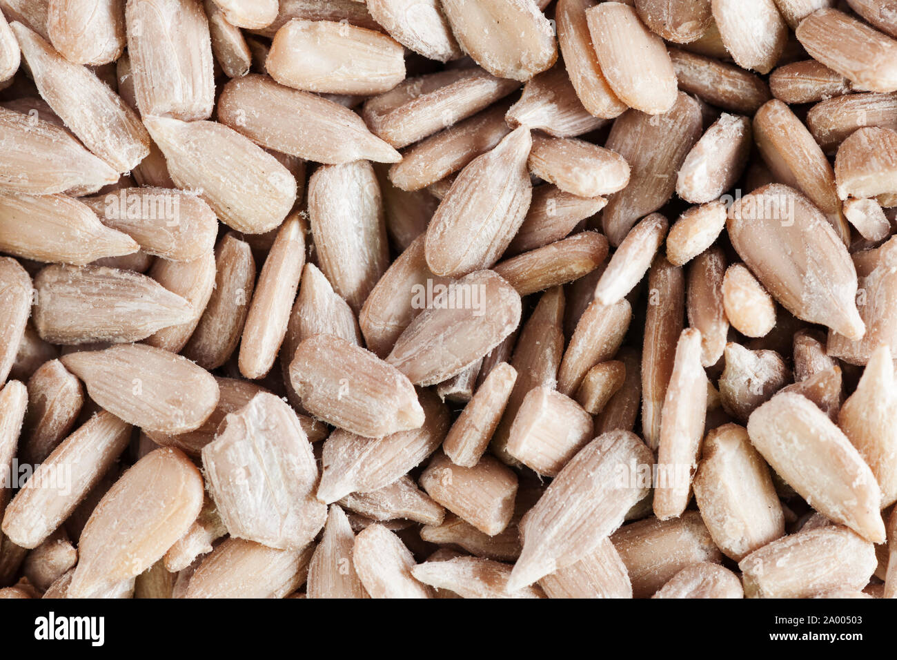 Full frame view of peeled sunflower seeds on neutral background Stock ...