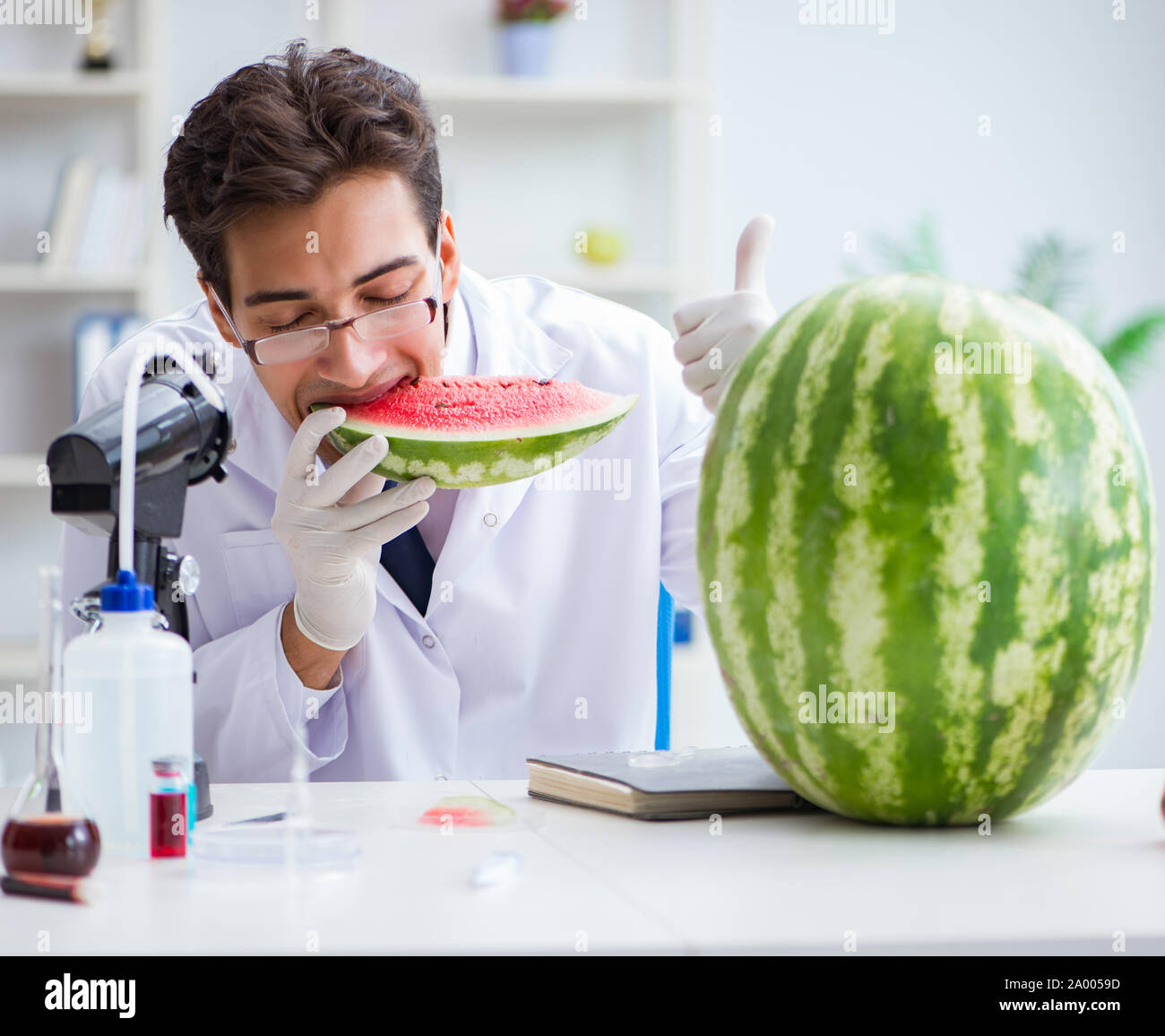 The scientist testing watermelon in lab Stock Photo - Alamy
