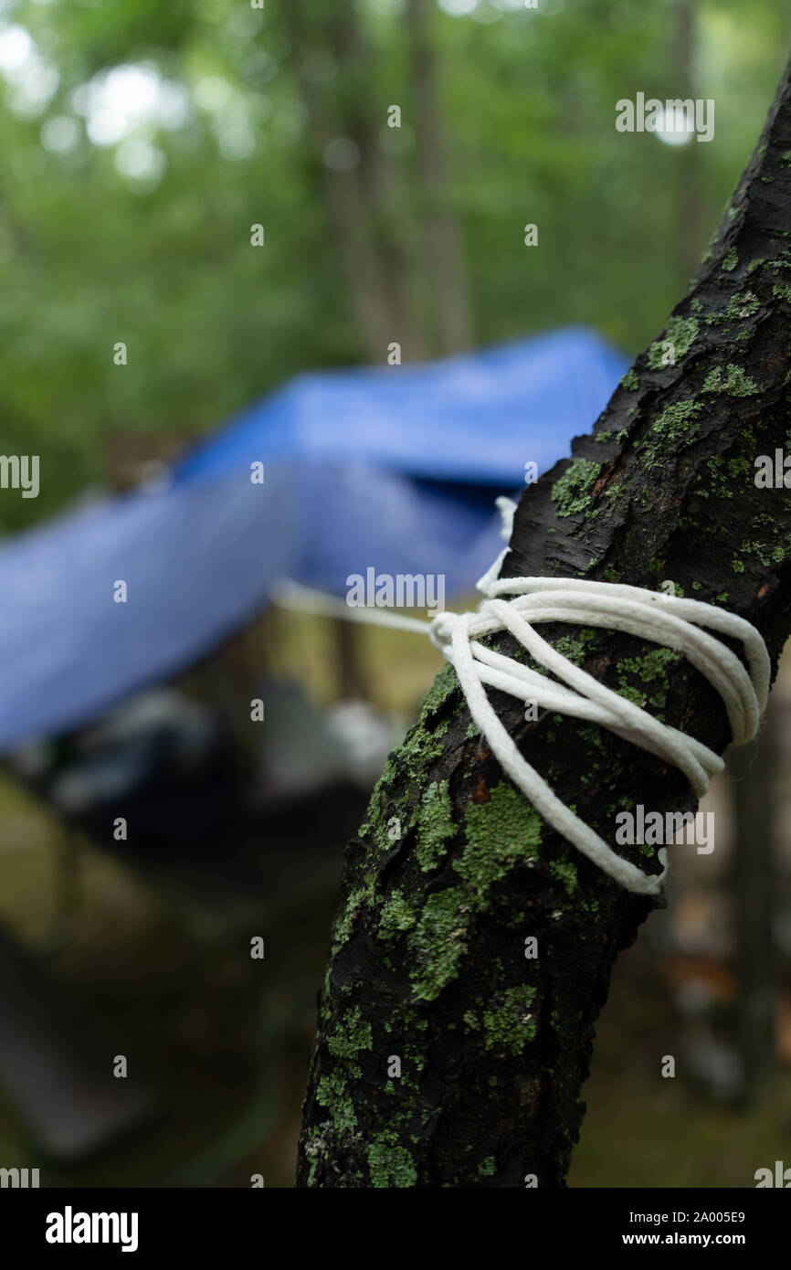 White rope shinto hi-res stock photography and images - Alamy