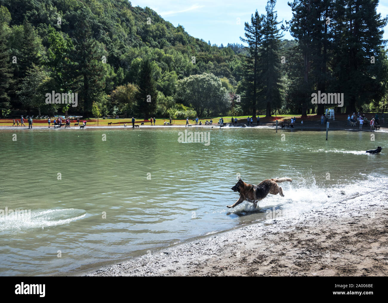 Howarth park hi-res stock photography and images - Alamy