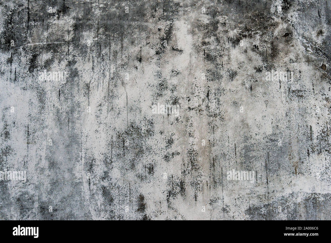 Grunge Wall Texture