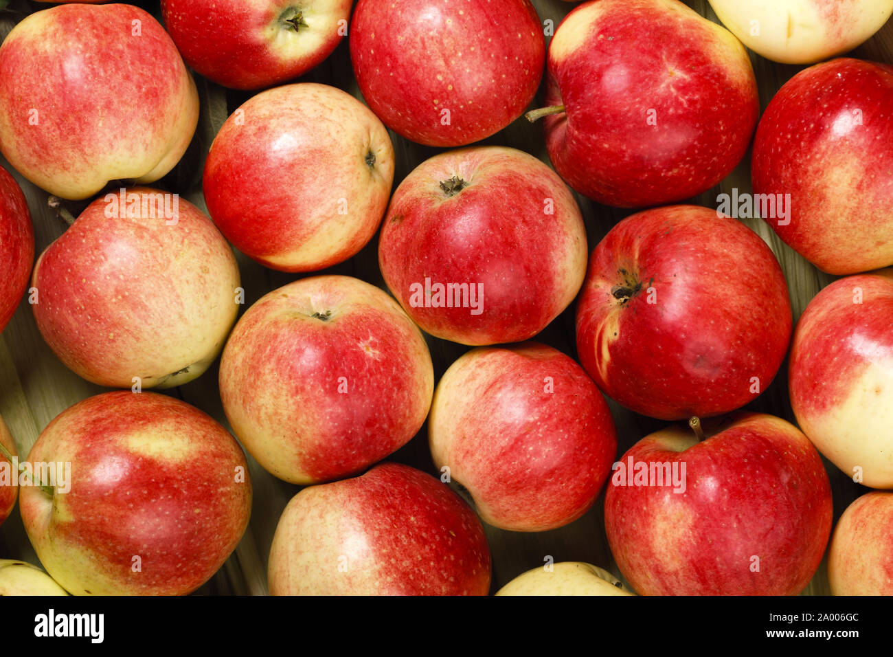 Lots of red apples. Natural condition. Top view Stock Photo - Alamy