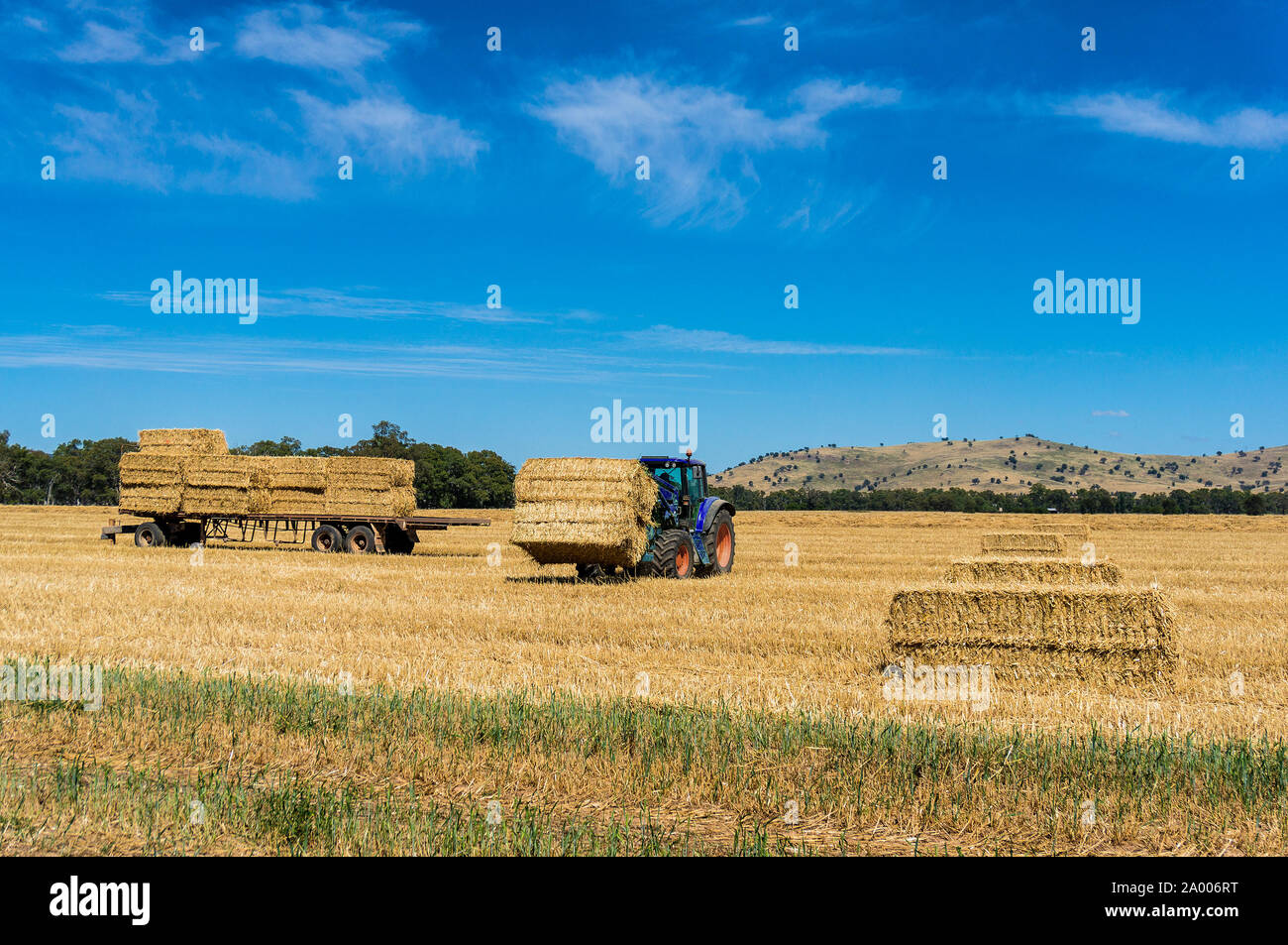Stacking hay hi-res stock photography and images - Alamy