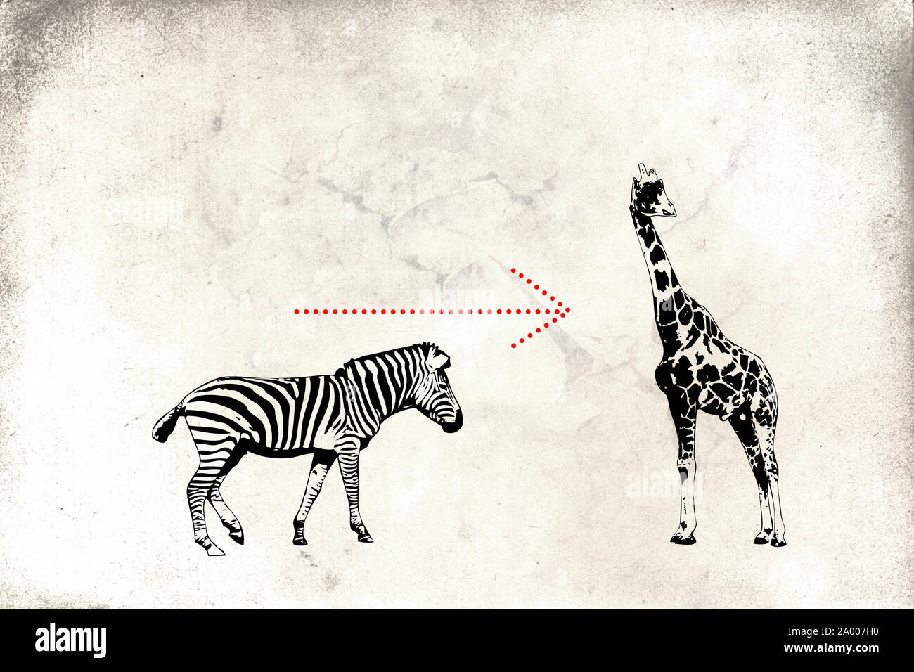 mural fun art design idea wall Stock Photo - Alamy