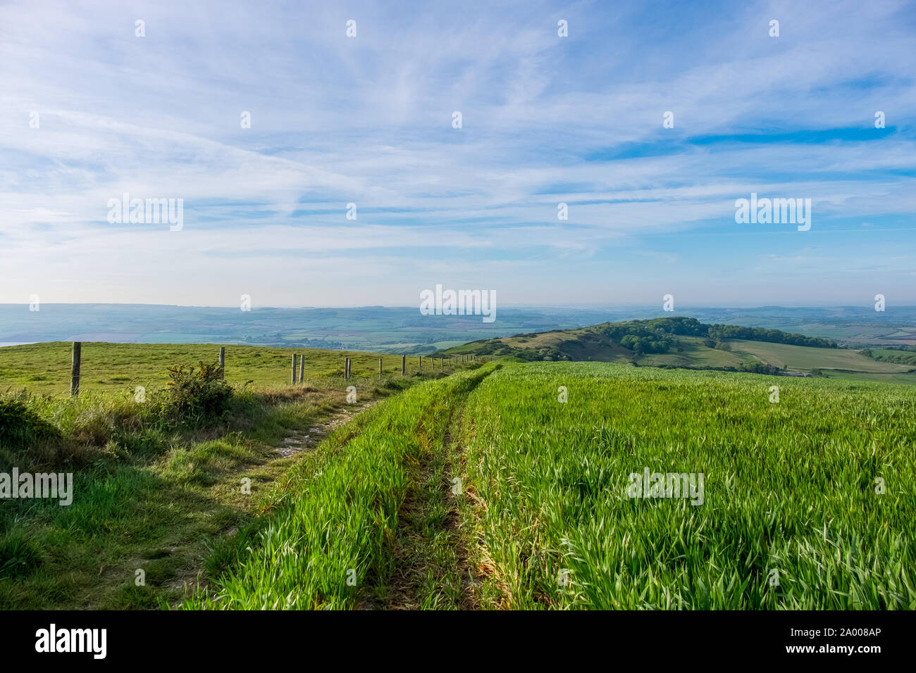 Fence following a path along a grass field Stock Photo - Alamy