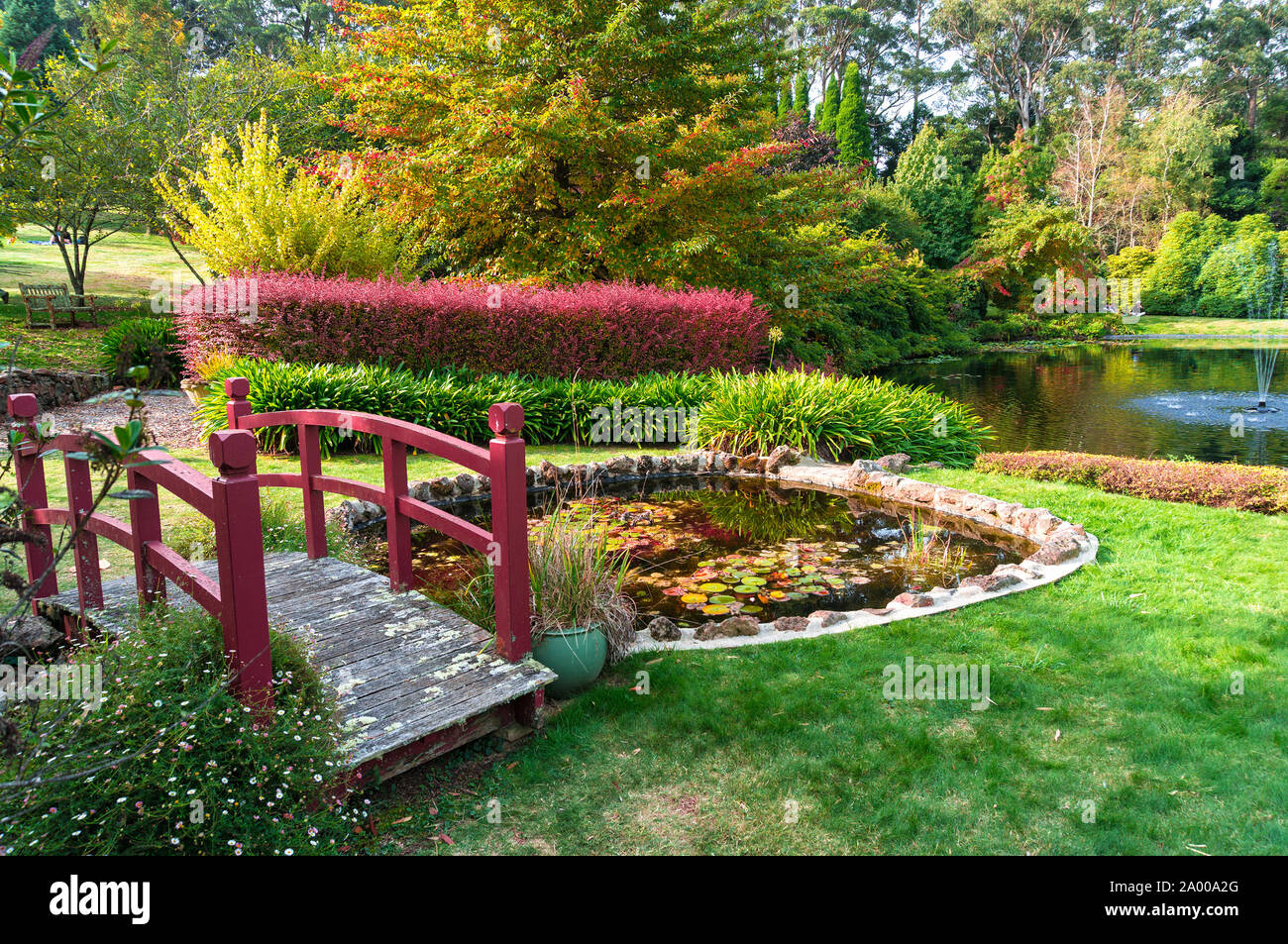 Mount wilson australia hi-res stock photography and images - Alamy